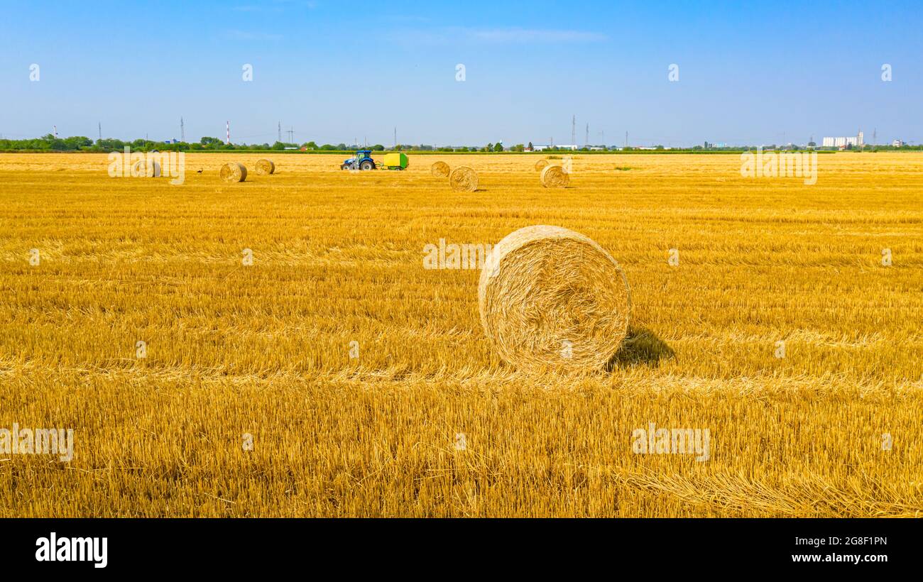 Above view of agricultural field with round bales of straw, after ...