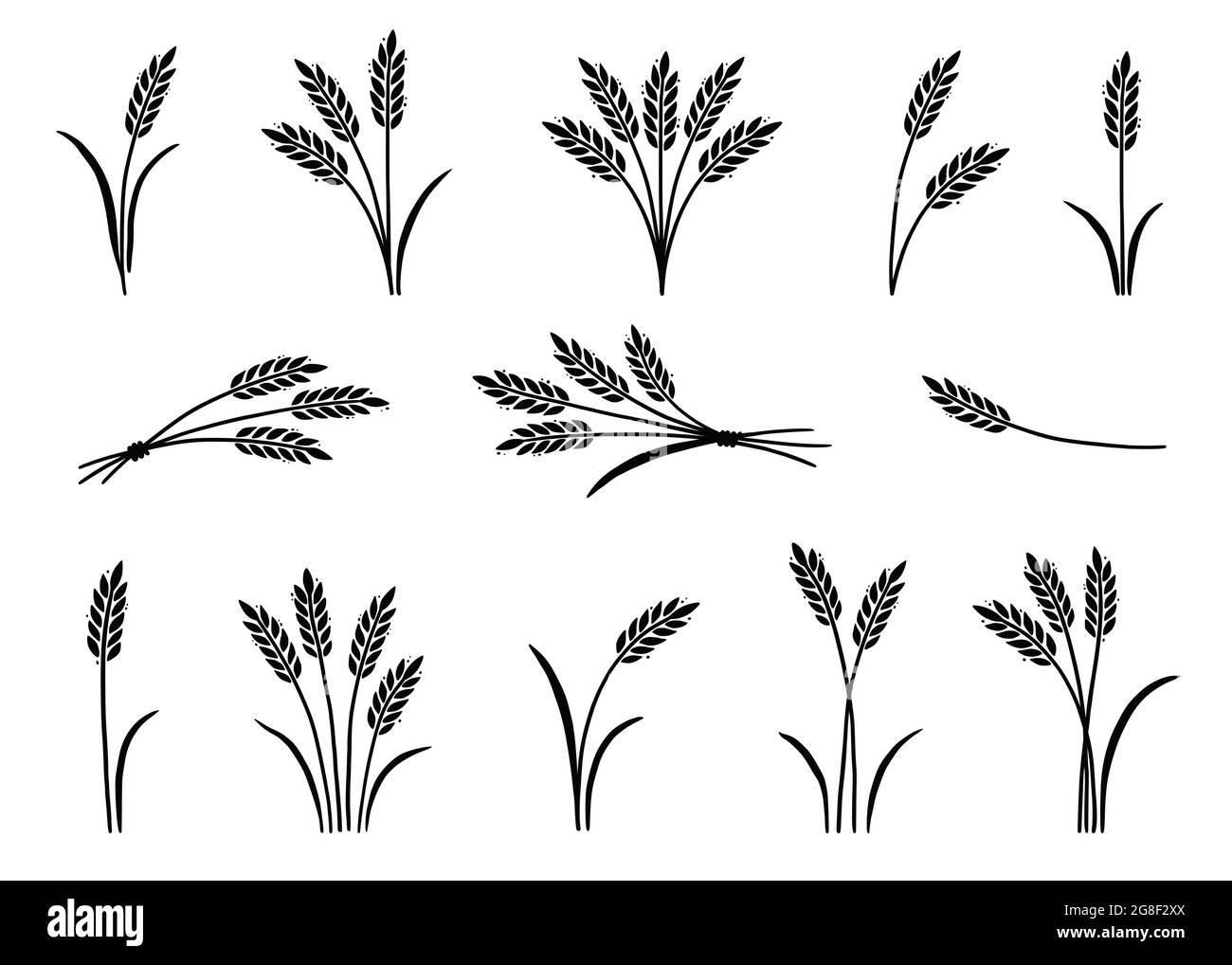 Barley Silhouette