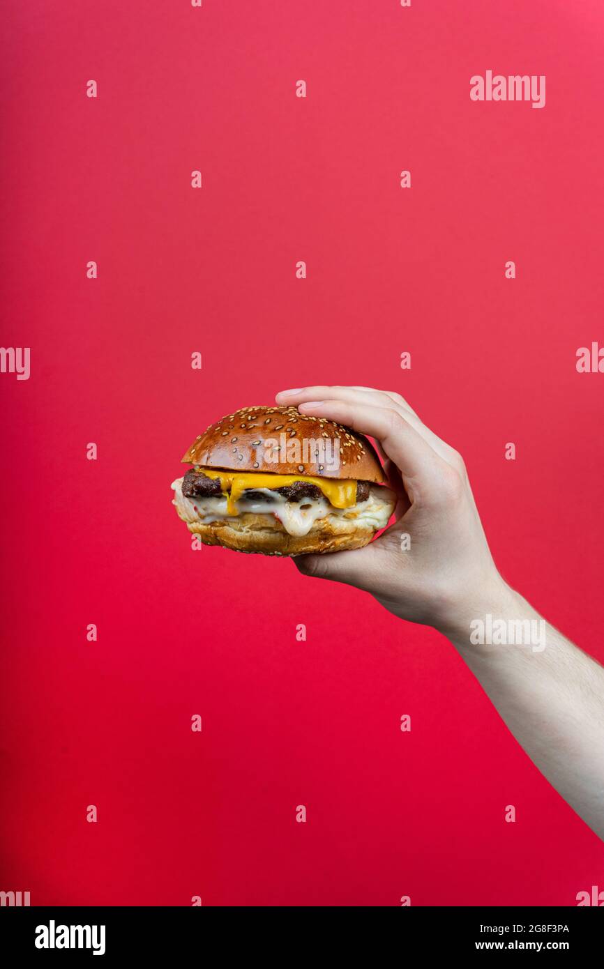 human hand holding tasty hamburger cheeseburger burger isolated on red ...