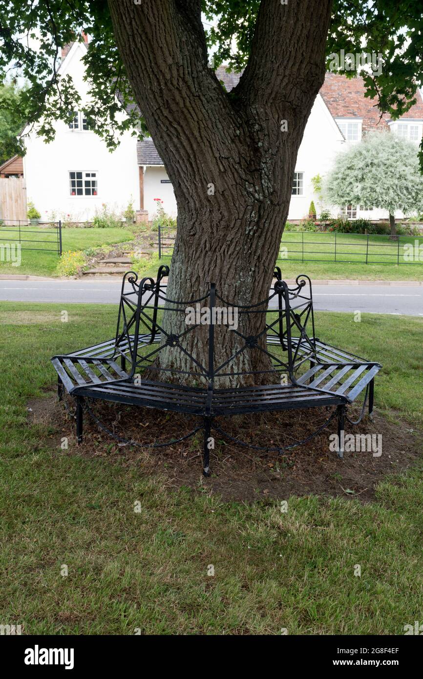 Metal bench around a tree hi-res stock photography and images - Alamy