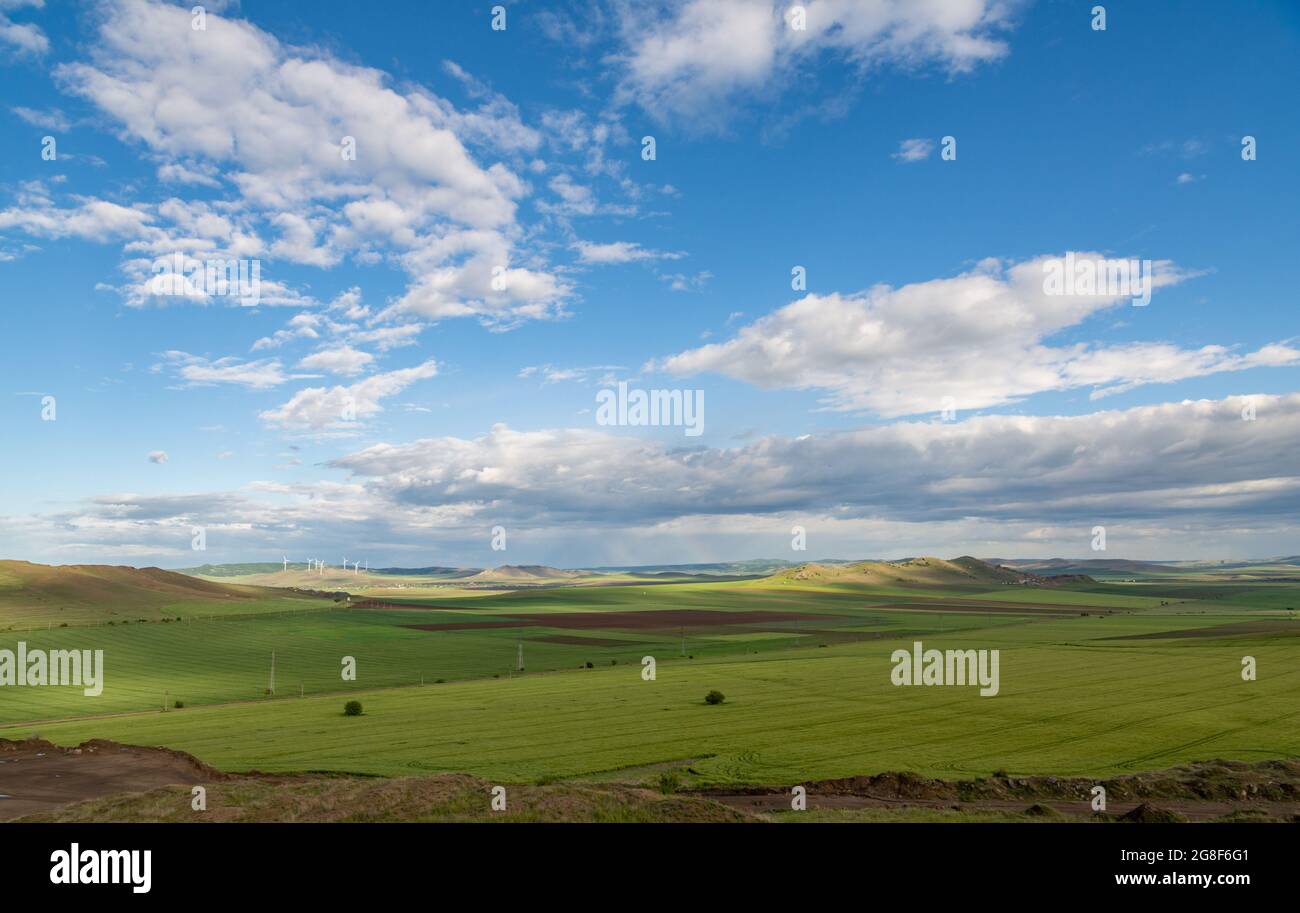 Green field in Dobrogea region, Romania Stock Photo - Alamy