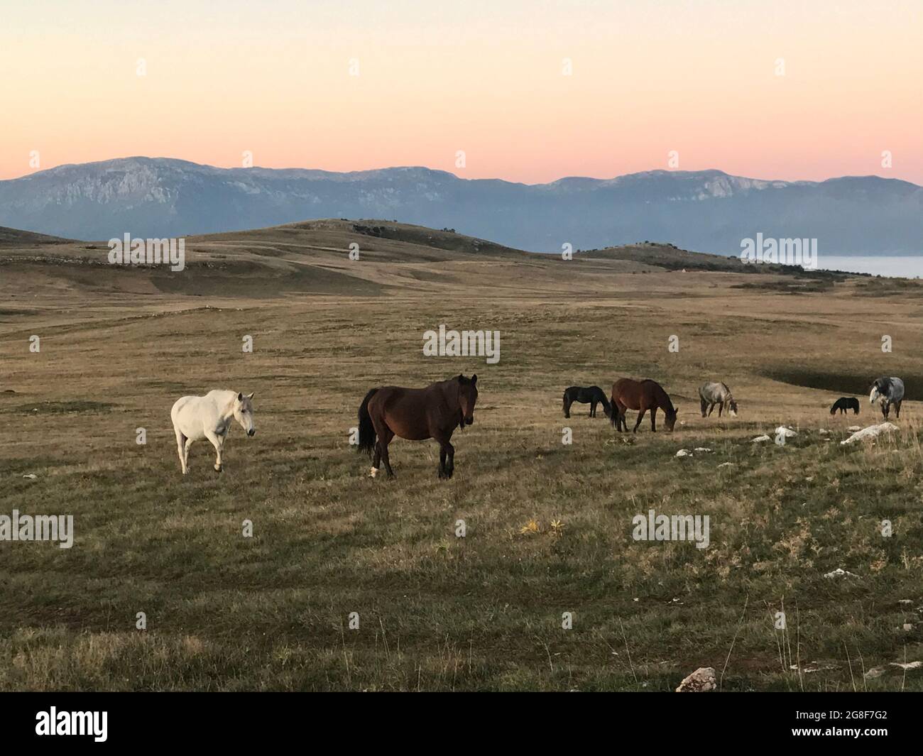 Mountain cincar hi-res stock photography and images - Alamy