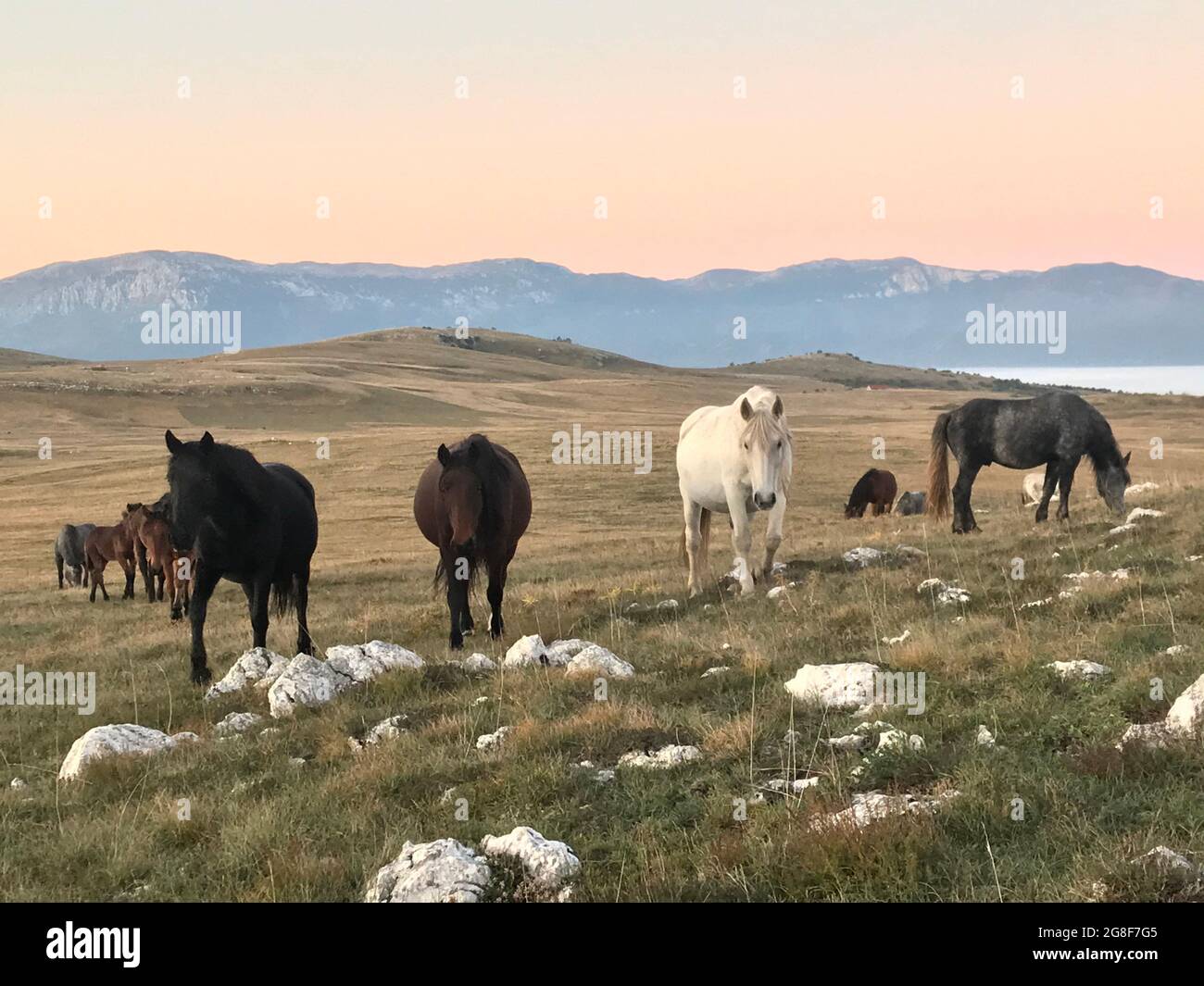 Mountain cincar hi-res stock photography and images - Alamy