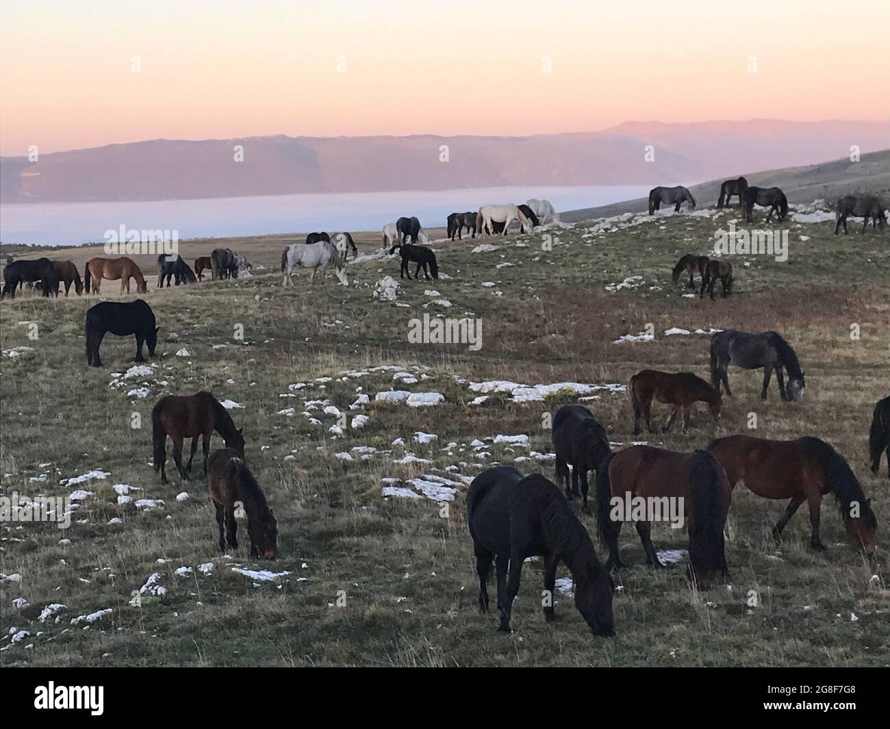 Cincar hi-res stock photography and images - Alamy