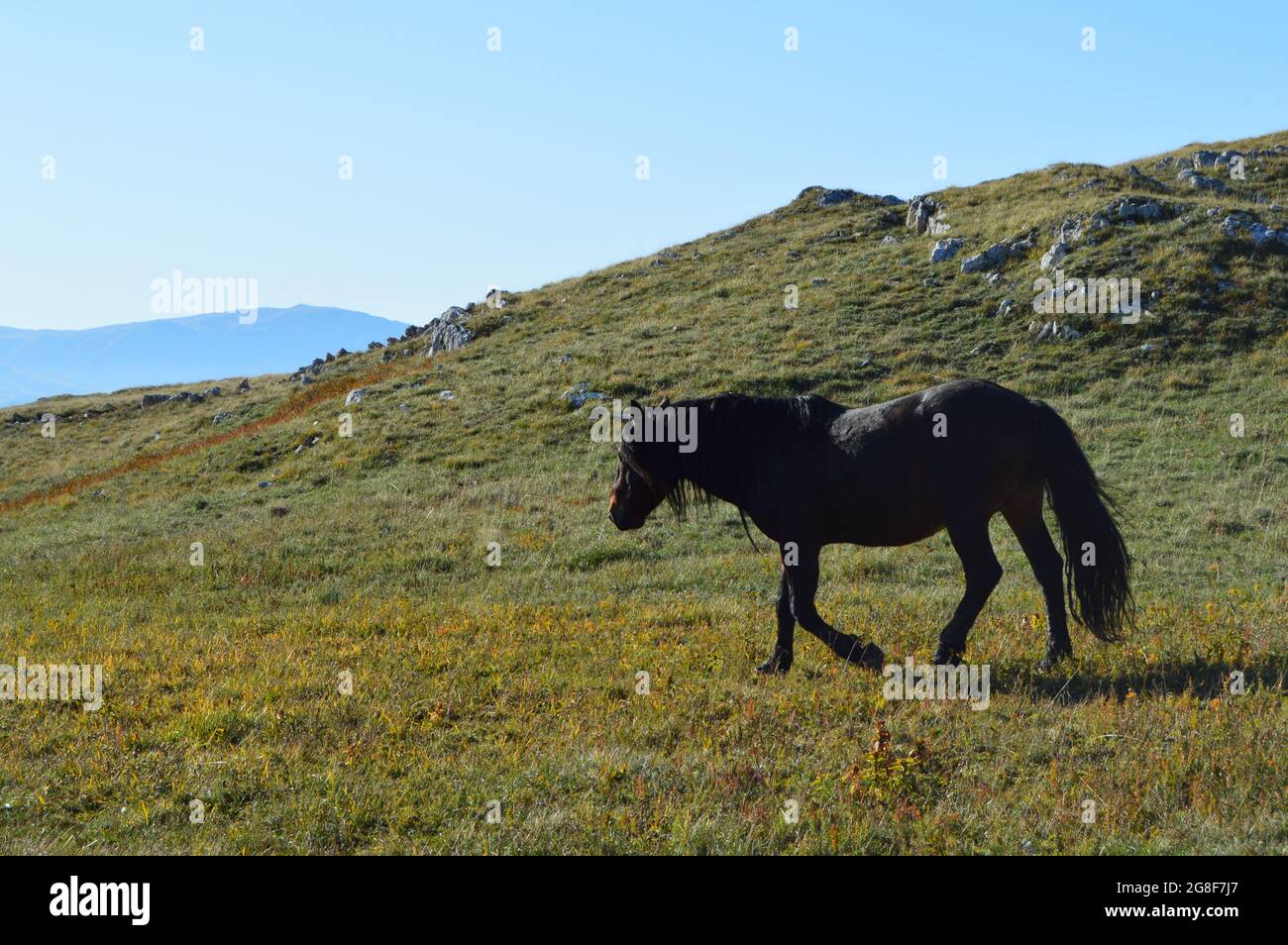 Cincar hi-res stock photography and images - Alamy