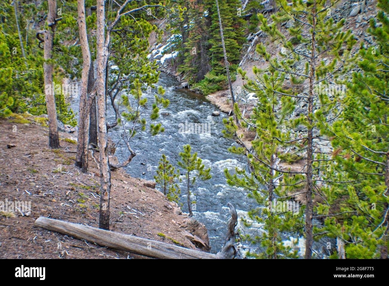 Running river with greenery hi-res stock photography and images - Alamy