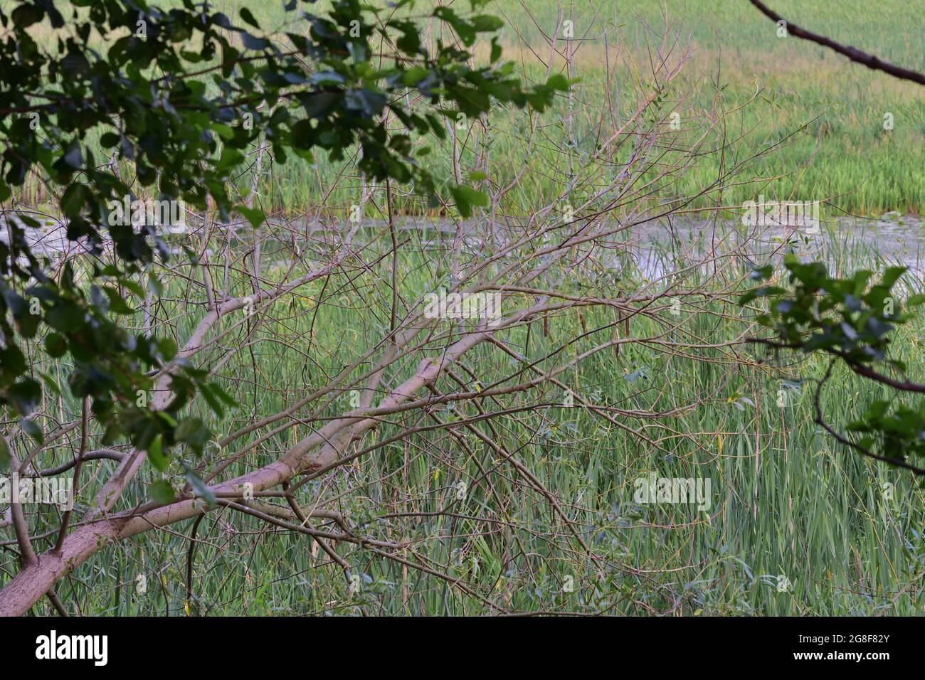 Hanging bank wood hi-res stock photography and images - Alamy