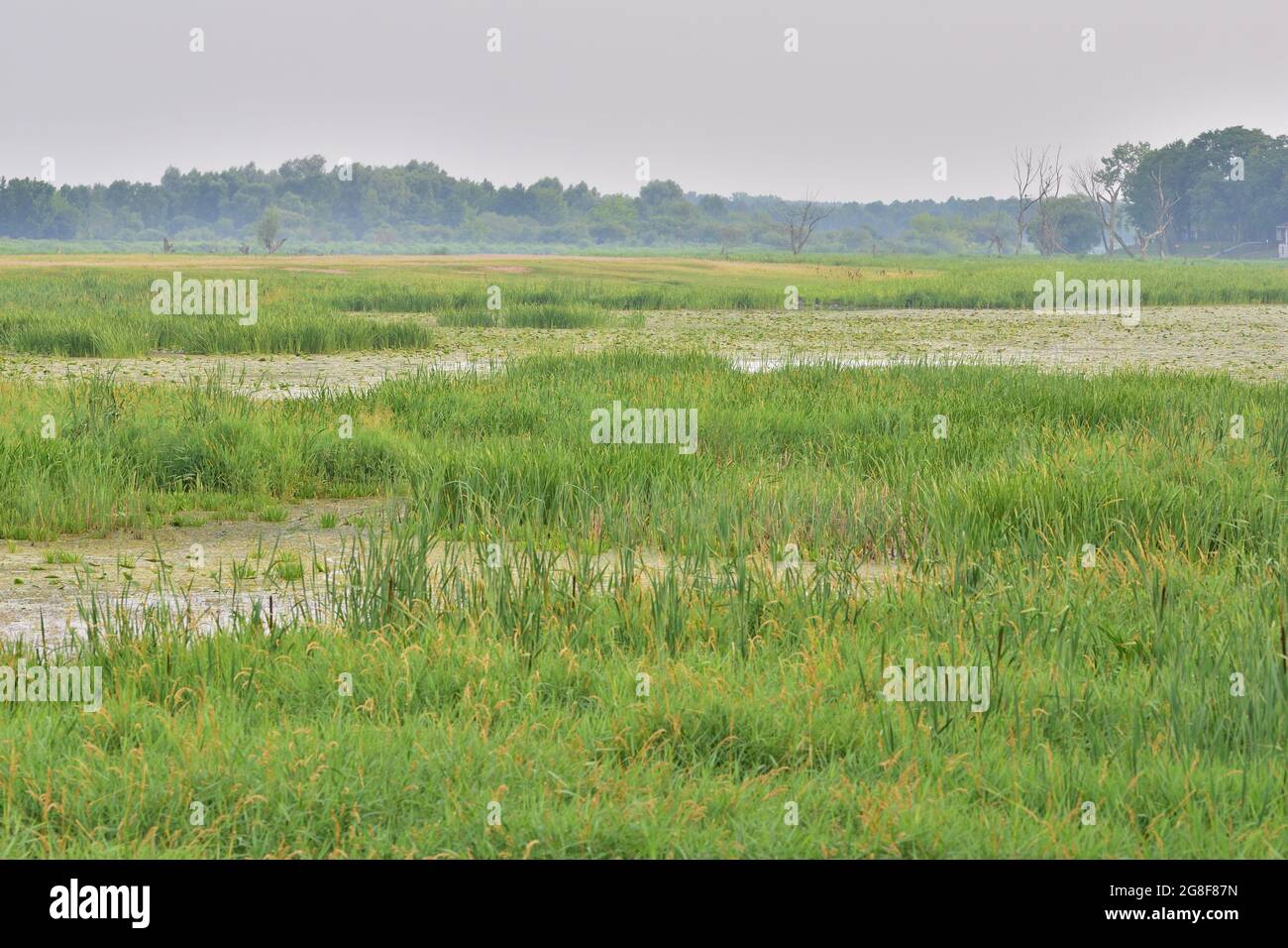 Floodplain river oxbow hi-res stock photography and images - Alamy