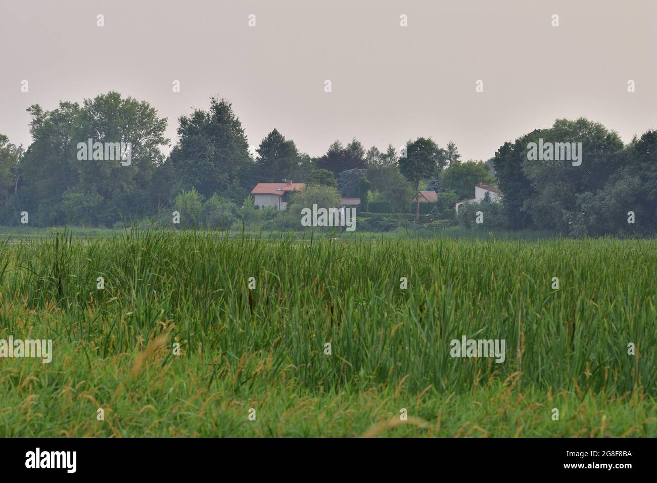 Oxbow lake and river hi-res stock photography and images - Alamy