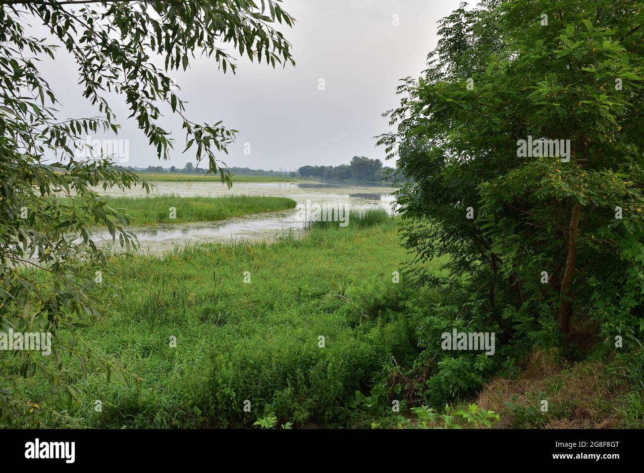 Oxbow lake hi-res stock photography and images - Alamy