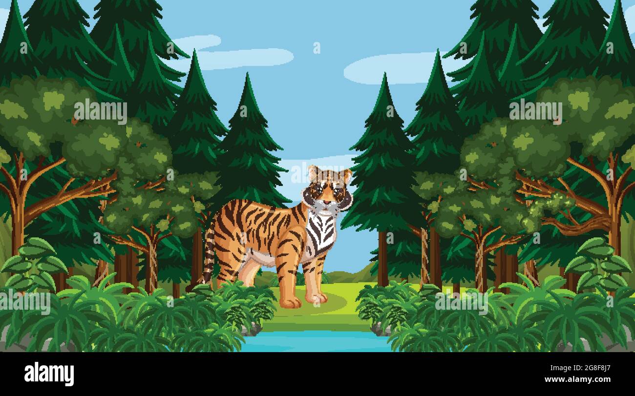 A tiger in forest or rainforest scene with many trees illustration ...