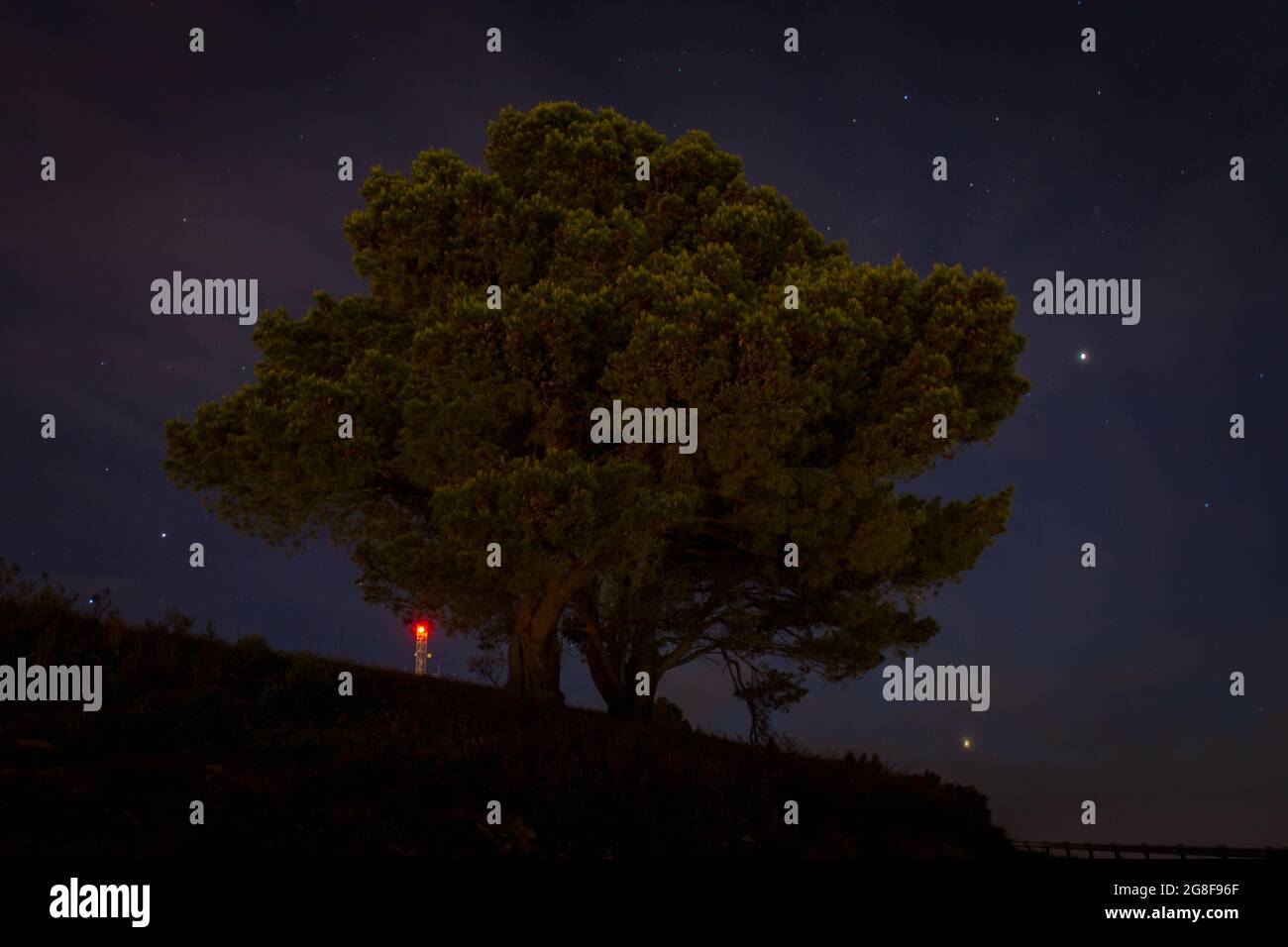 Tree against milky way night hi-res stock photography and images - Alamy