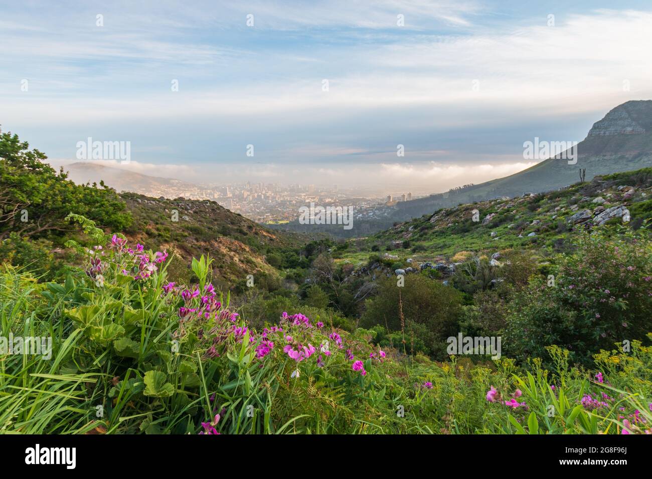 Scenic view of Cape Town, South Africa from Platteklip Gorge hiking ...