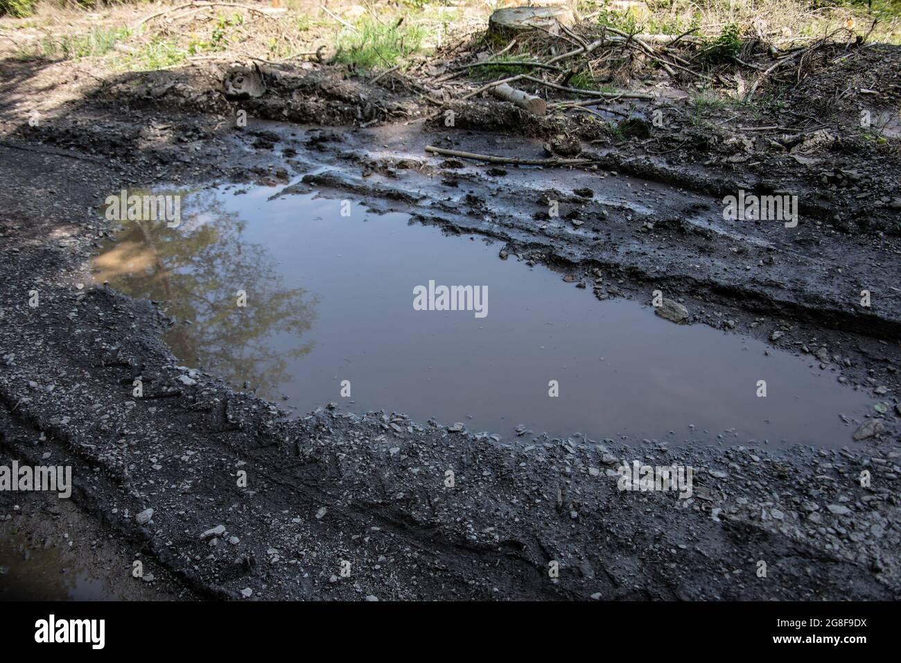 Puddle on forest path after rain Stock Photo - Alamy