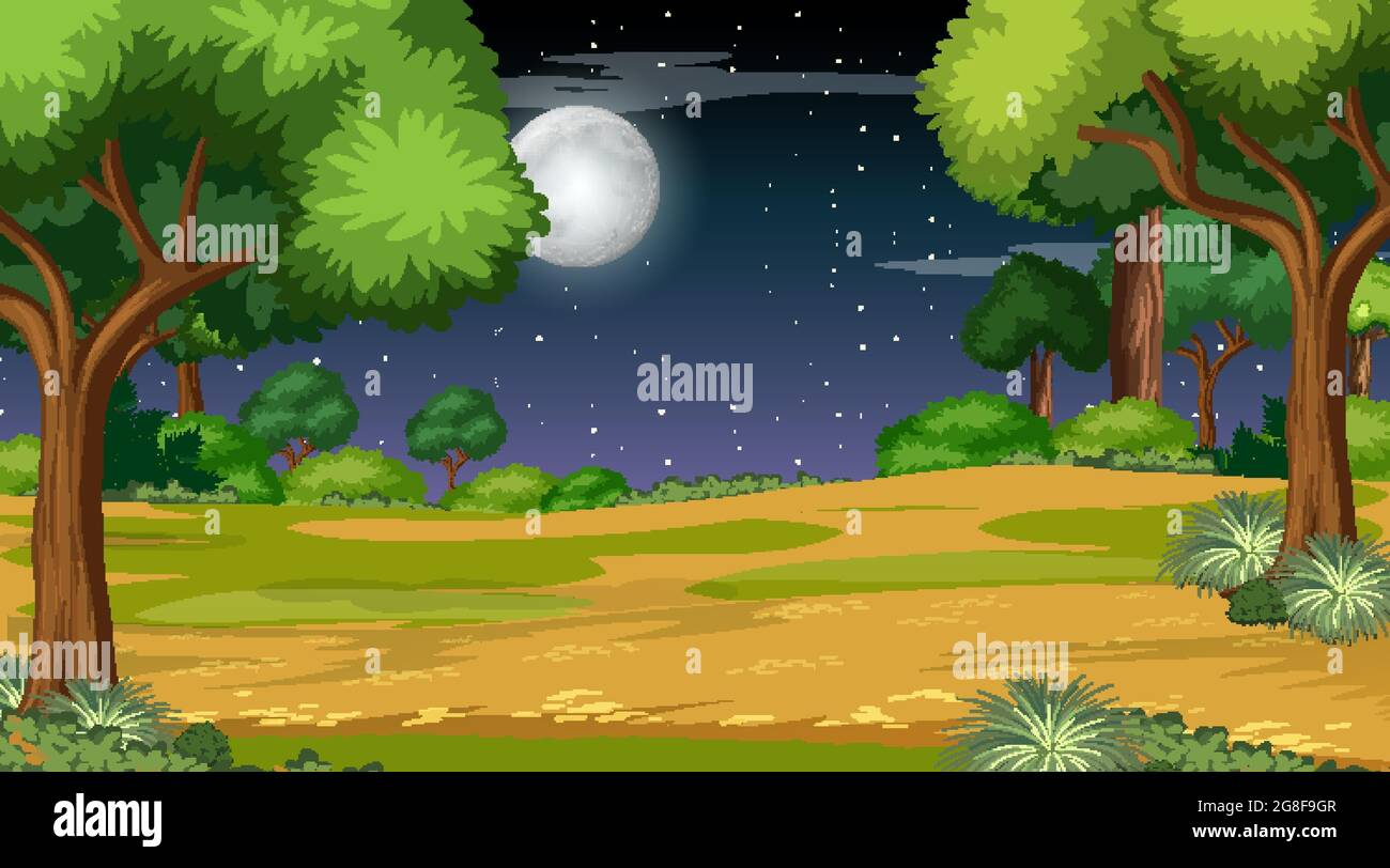 Nature forest landscape at night scene illustration Stock Vector Image ...