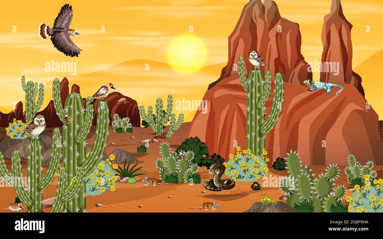 Desert Animals And Plants