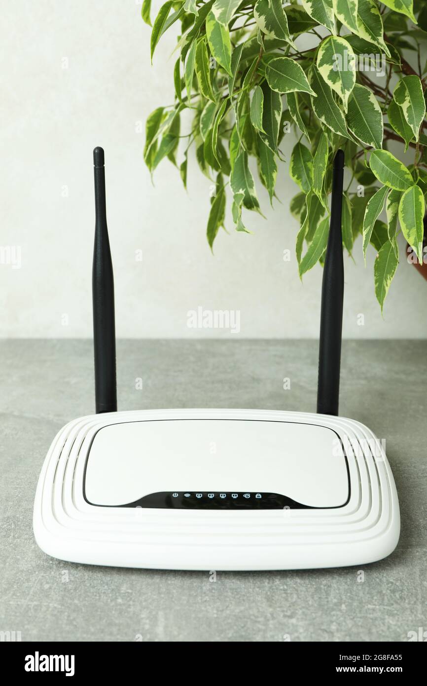 Wi-Fi router and plant on gray textured table Stock Photo - Alamy