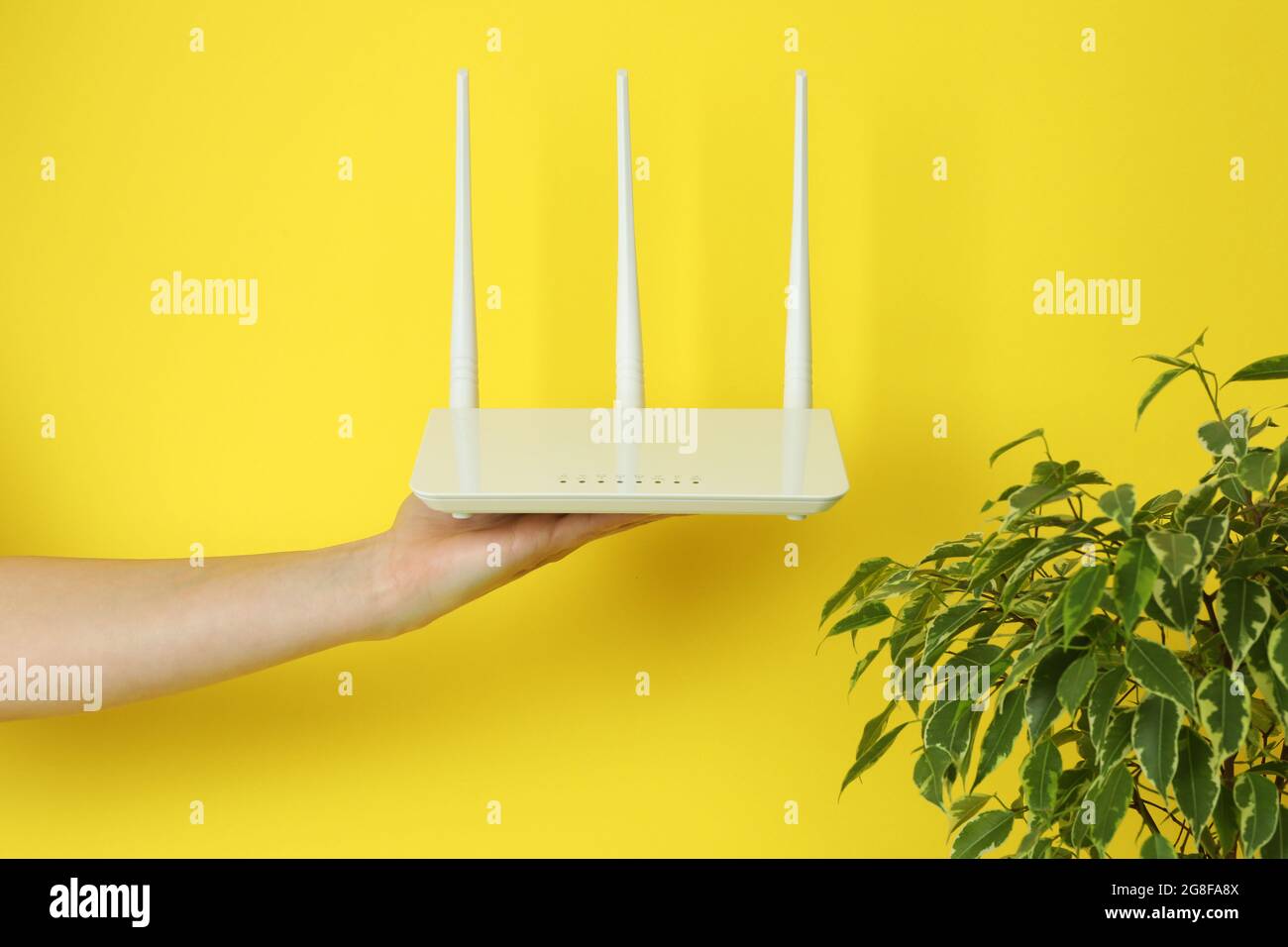 Female hand holds Wi - fi router on yellow background Stock Photo - Alamy