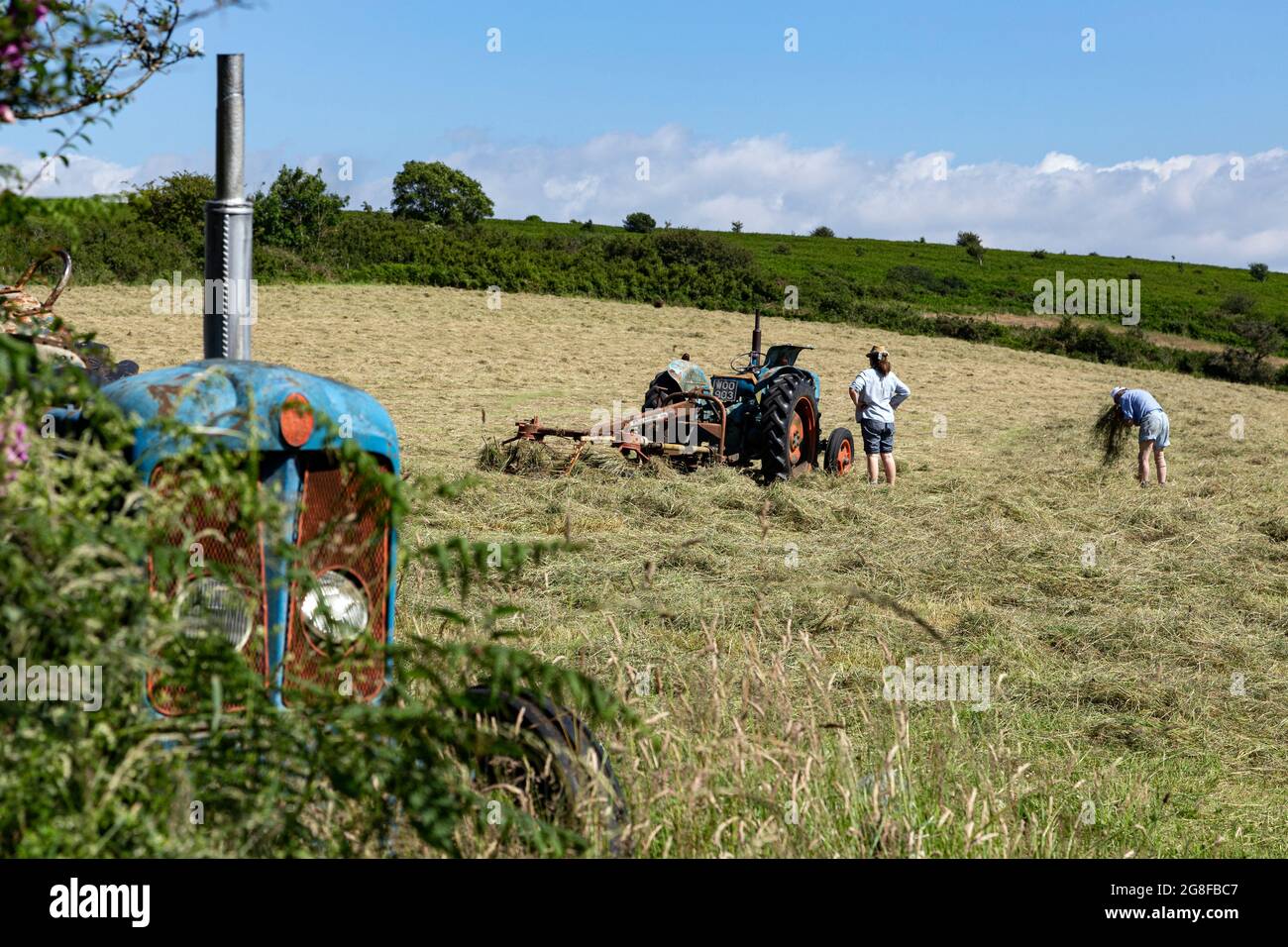 Fordson Super Major Tractor,turning hay with old tractor, fordston ...