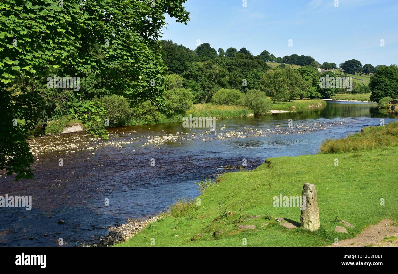 The river Wharfe on the Dales Way walk near Barden, North Yorkshire ...