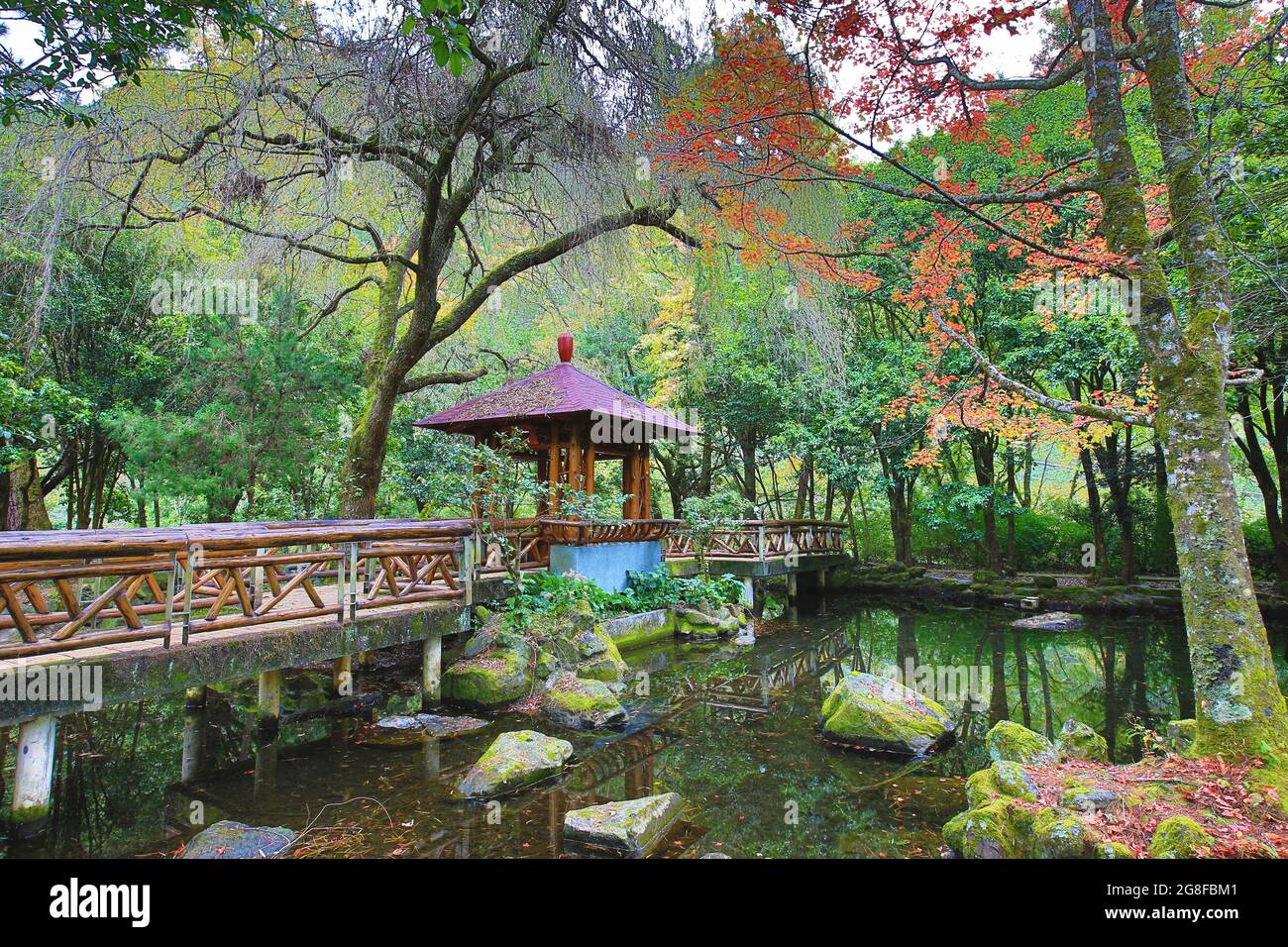 Beautiful lake scenery with maple trees and path in autumn Stock Photo ...