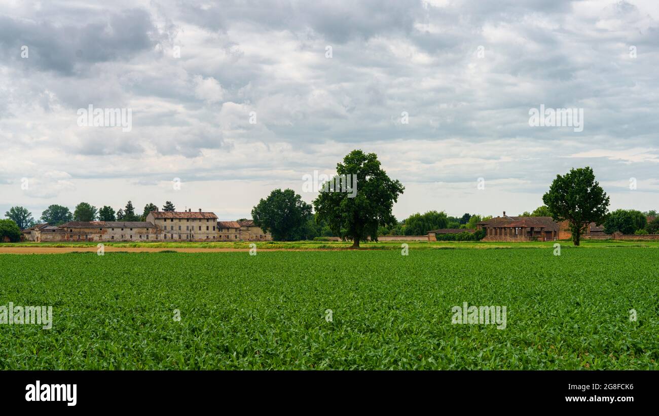 Rural landscape at spring near Certosa di Pavia, Pavia province ...