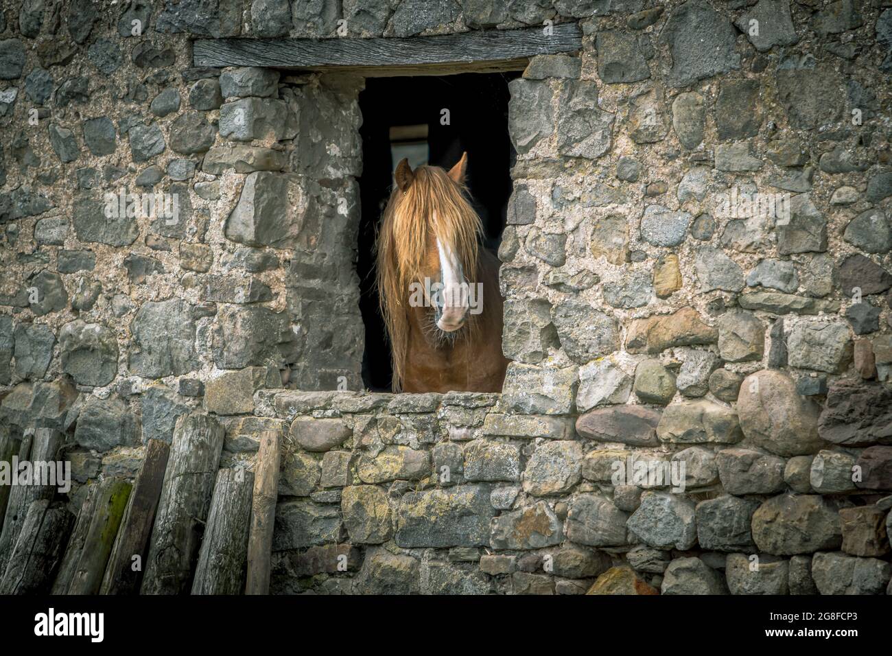 Traditional stables for sheep hi-res stock photography and images - Alamy