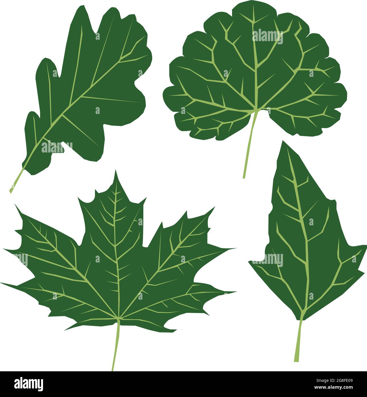 green leaves vector Stock Vector Image & Art - Alamy