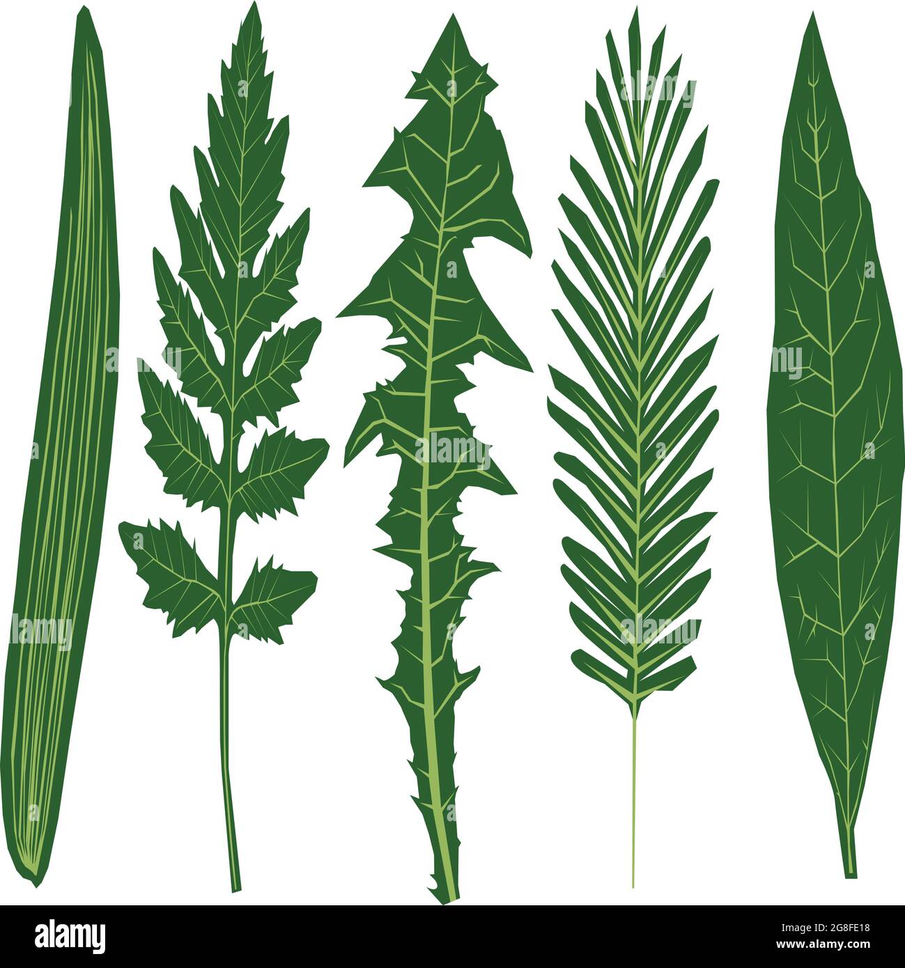 green leaves vector Stock Vector Image & Art - Alamy