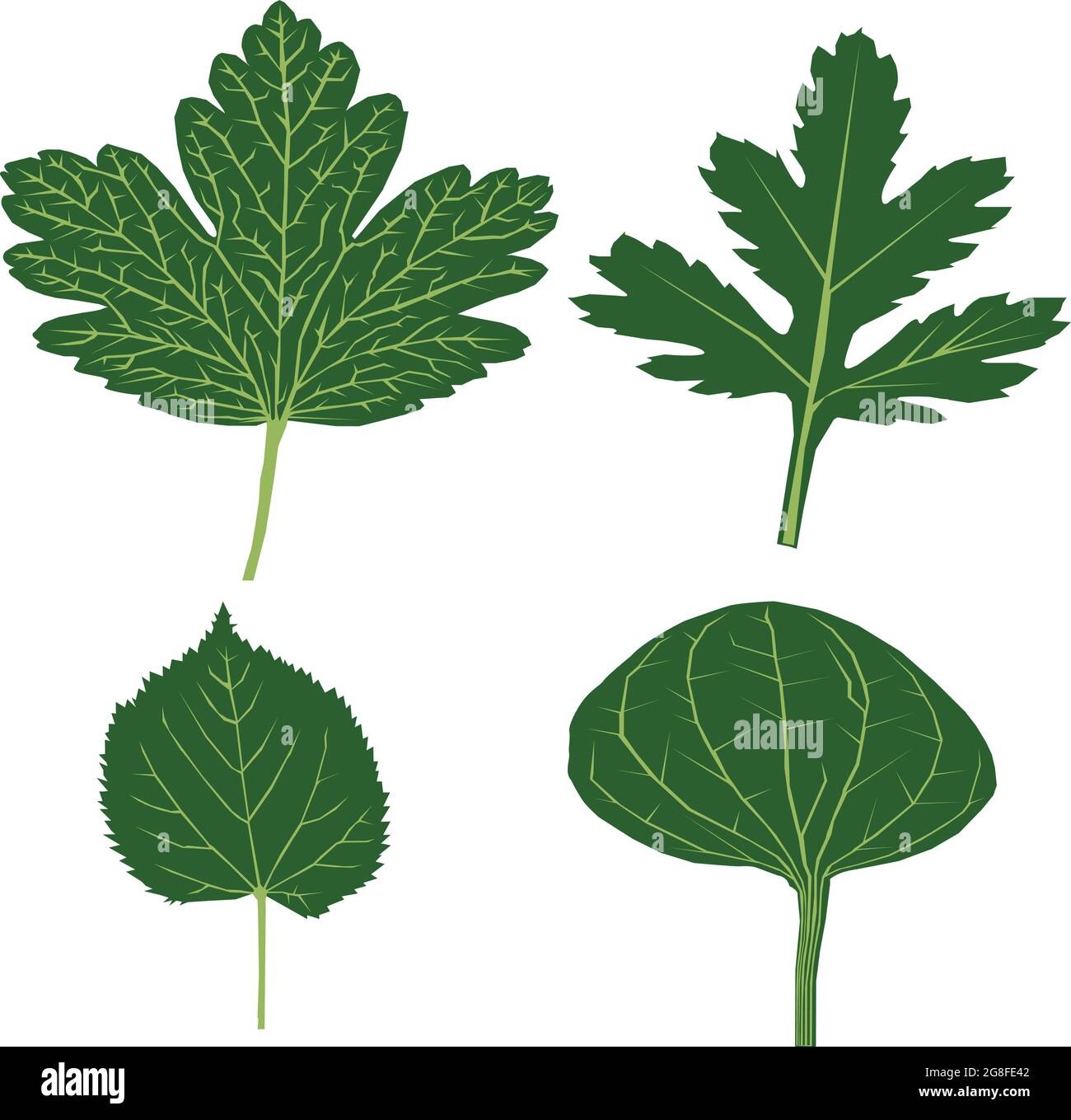 green leaves vector Stock Vector Image & Art - Alamy