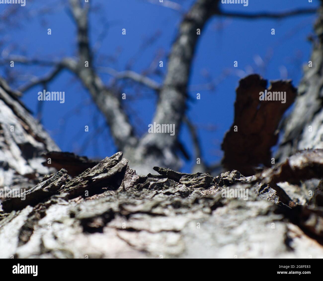 Closeup shot hard soil hi-res stock photography and images - Alamy