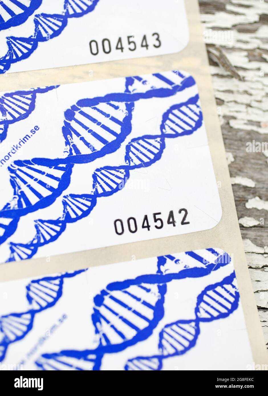Sealing labels with DNA motifs which is part of the police's forensic ...