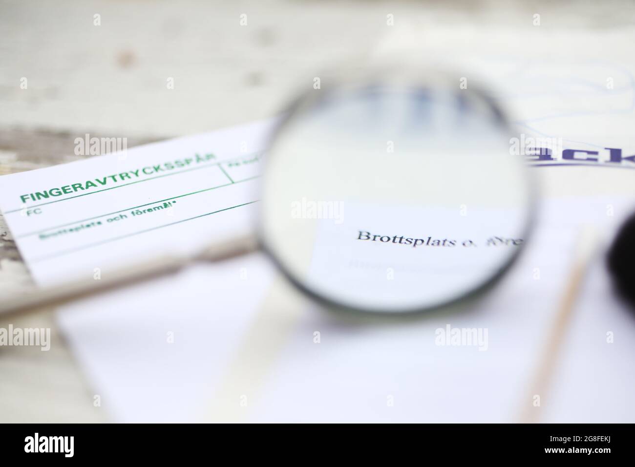 BioPack bag and a forensic cotton swab for securing blood and ...