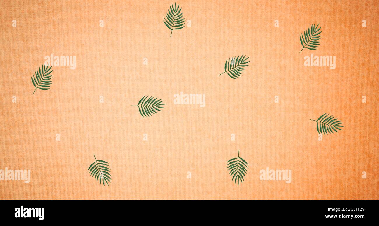 Composition of multiple leaves on orange background Stock Photo - Alamy