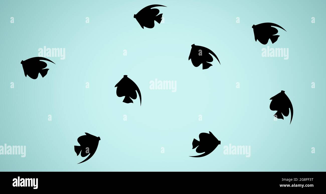 Multiple fish hi-res stock photography and images - Alamy