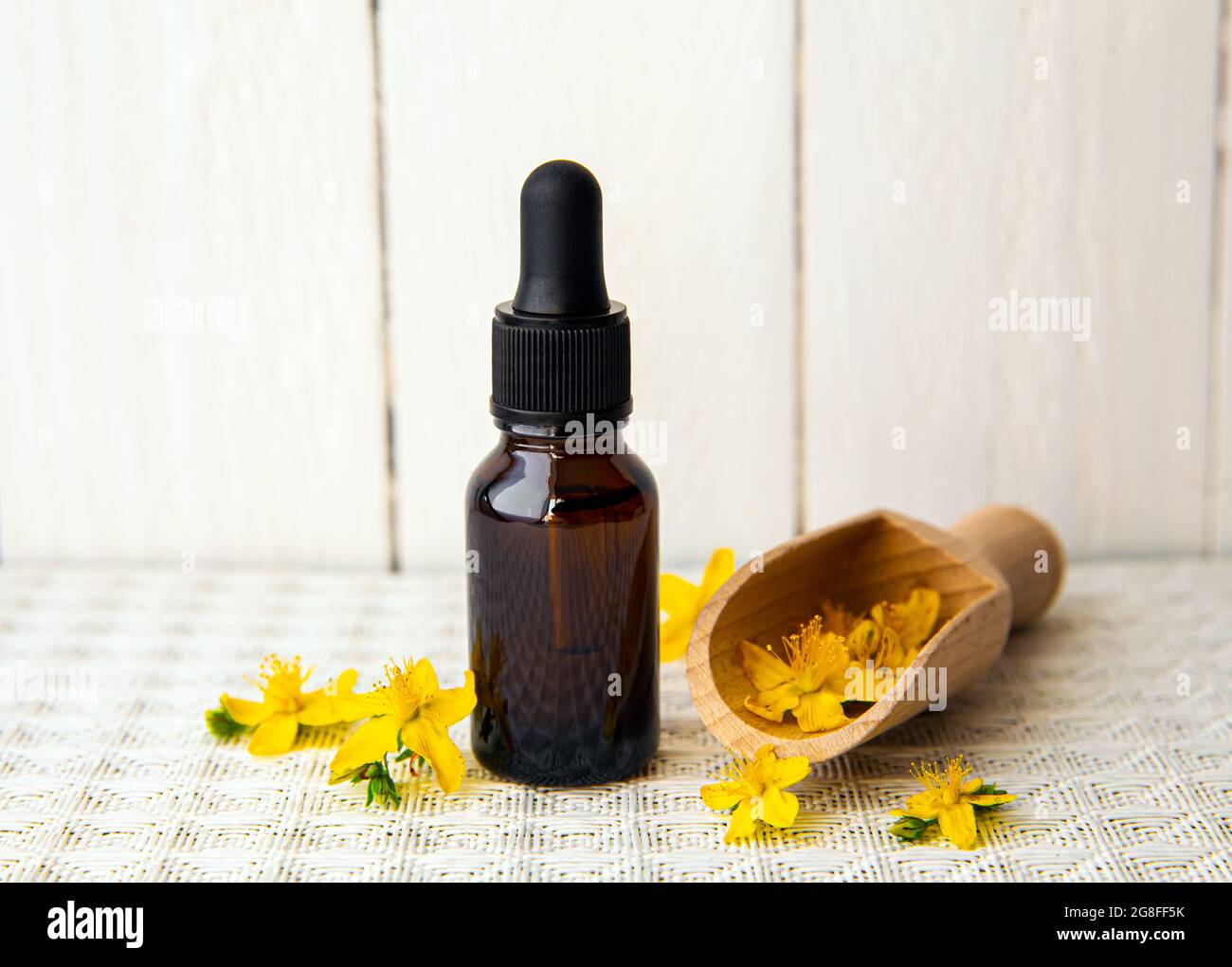 Hypericum perforatum known as perforate St John's-wort tincture or oil ...