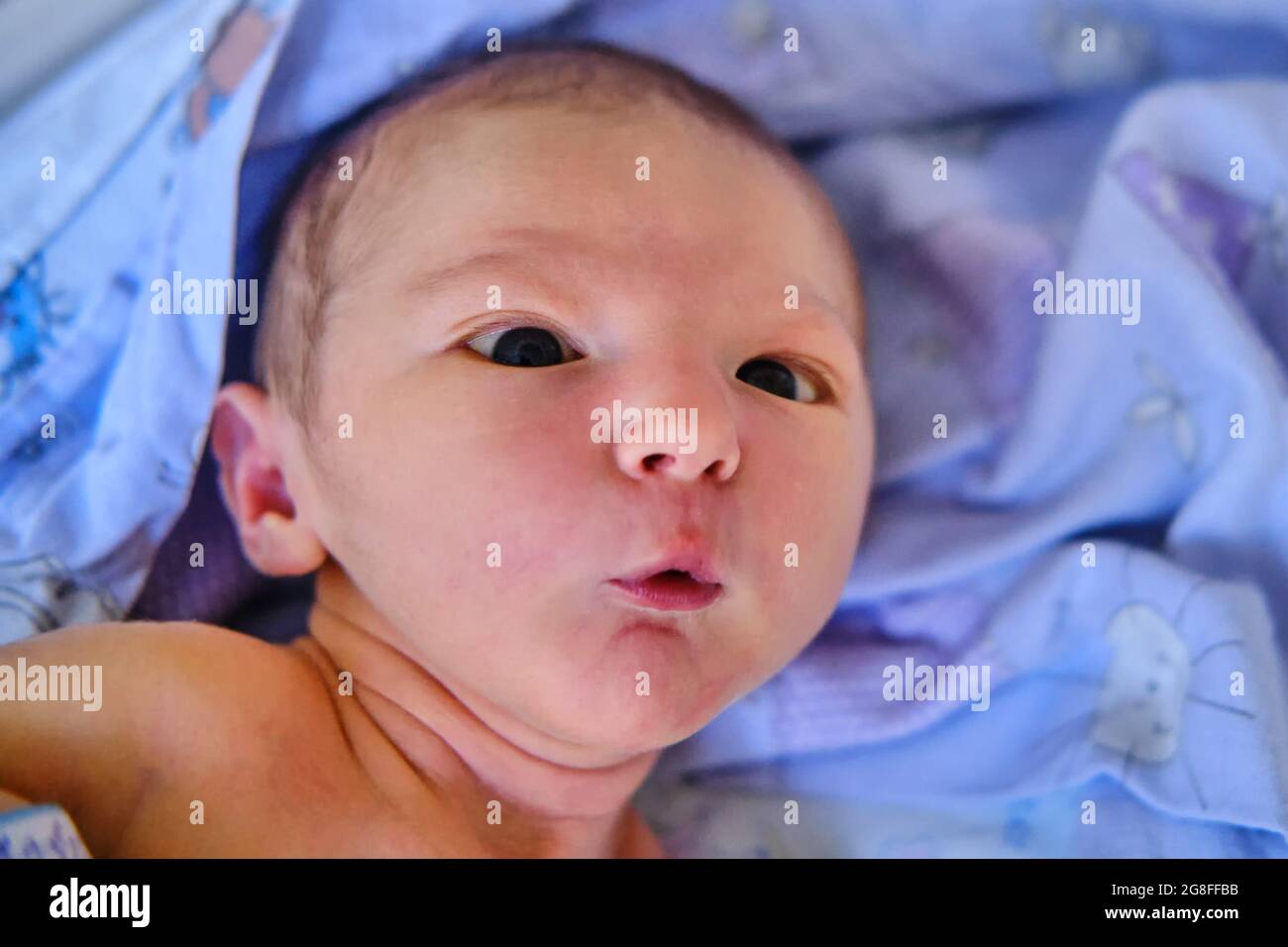 Triangular alien - shaped face of a newborn baby, a portrait with the ...