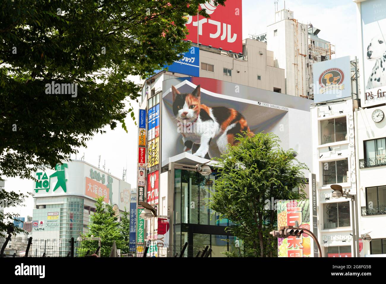 Shinjuku City, Tokyo, Japan - July 10, 2021: Giant cat in stunning ...