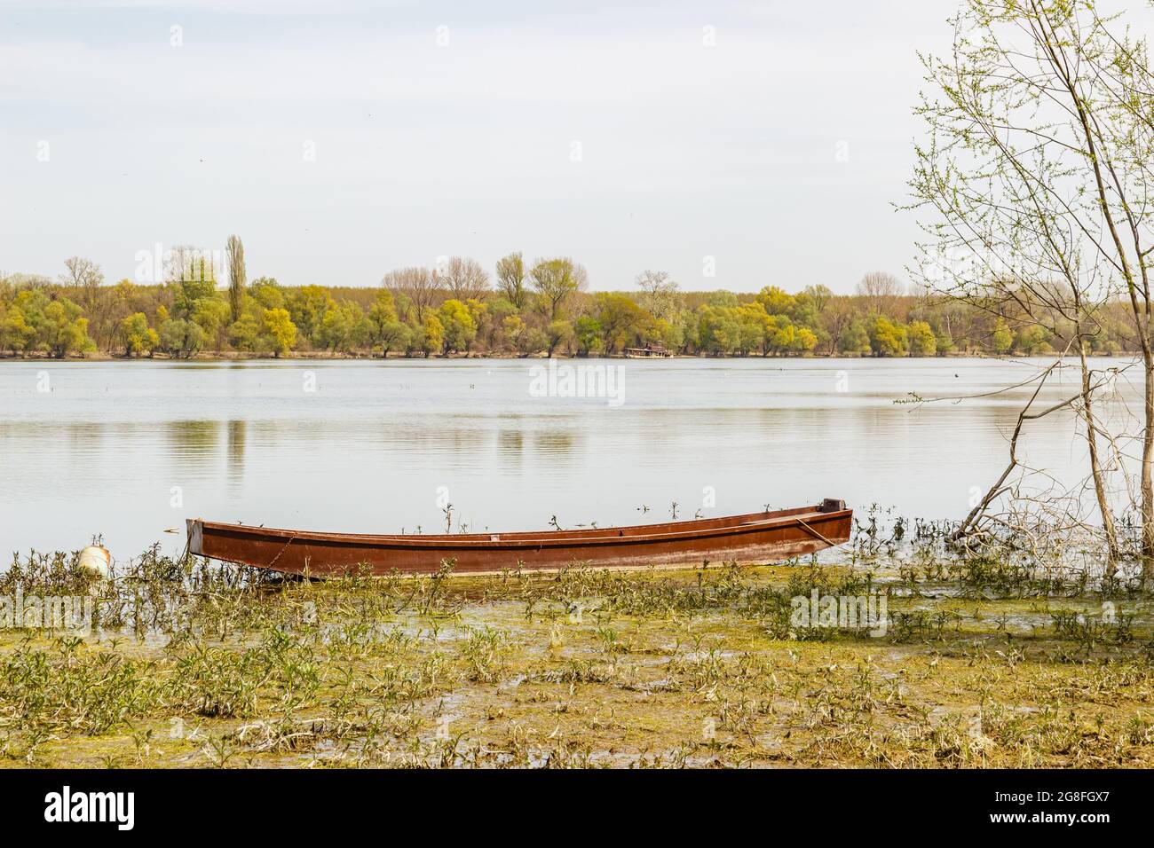 Old boat on the riverside in summer Stock Photo - Alamy