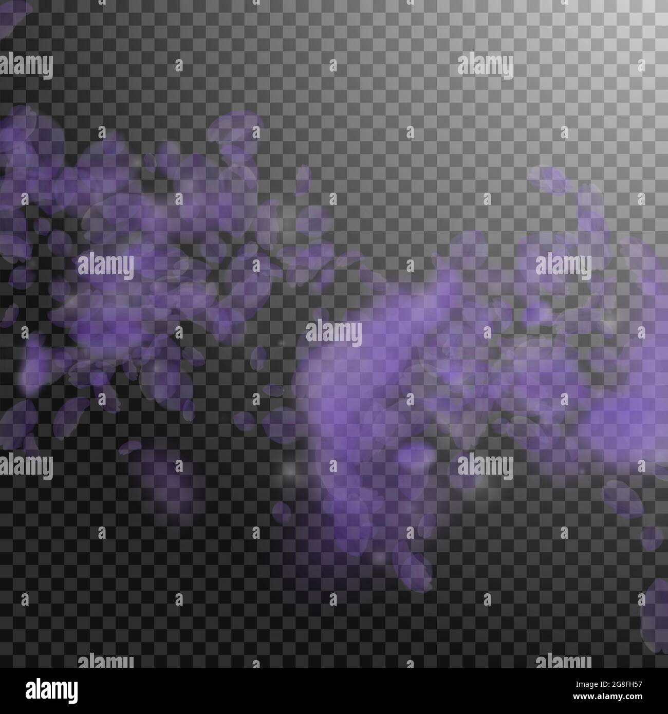 Violet flower petals falling down. Exotic romantic flowers falling rain ...