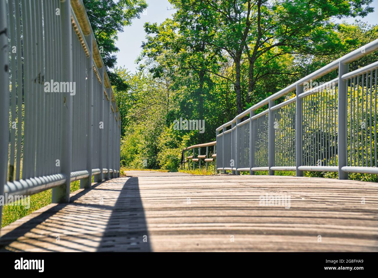 Wooden bridge with metal railings in a forest Stock Photo - Alamy