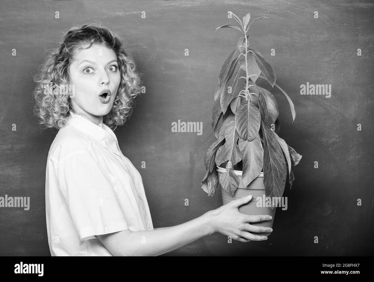 Save Earth. tree of knowledge. school learning ecology. school nature ...