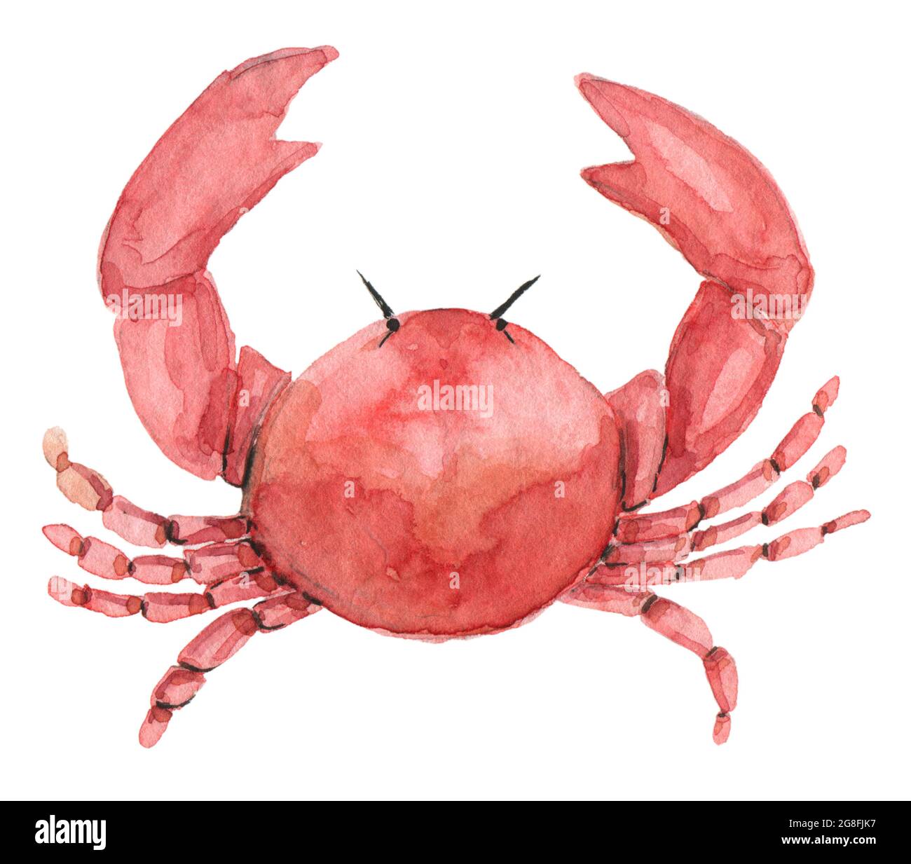 Crab maryland beach hi-res stock photography and images - Alamy