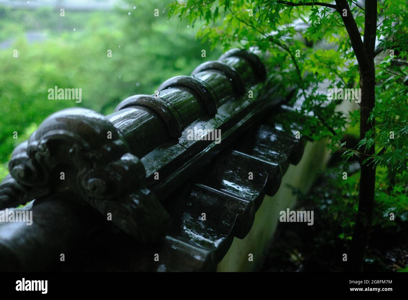 Japanese walled garden in rain Stock Photo - Alamy