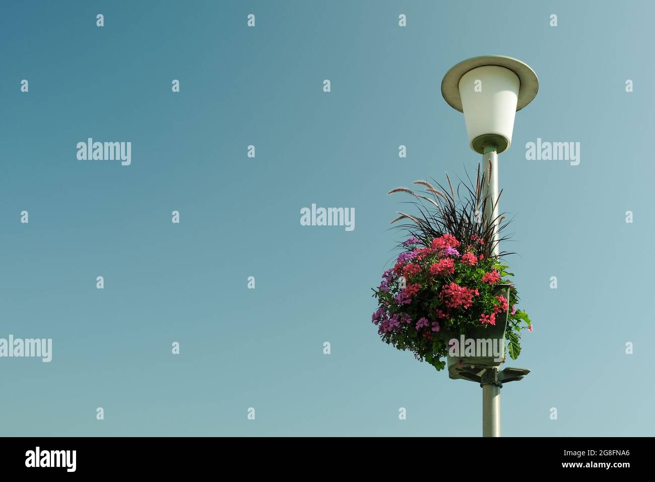 Lamp post hanging basket hi-res stock photography and images - Alamy