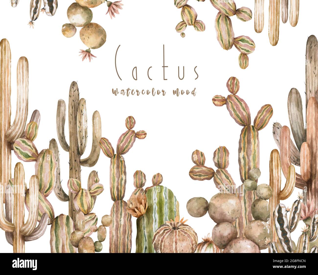 Banner, template for cards with cactuses . image of green cacti frame ...