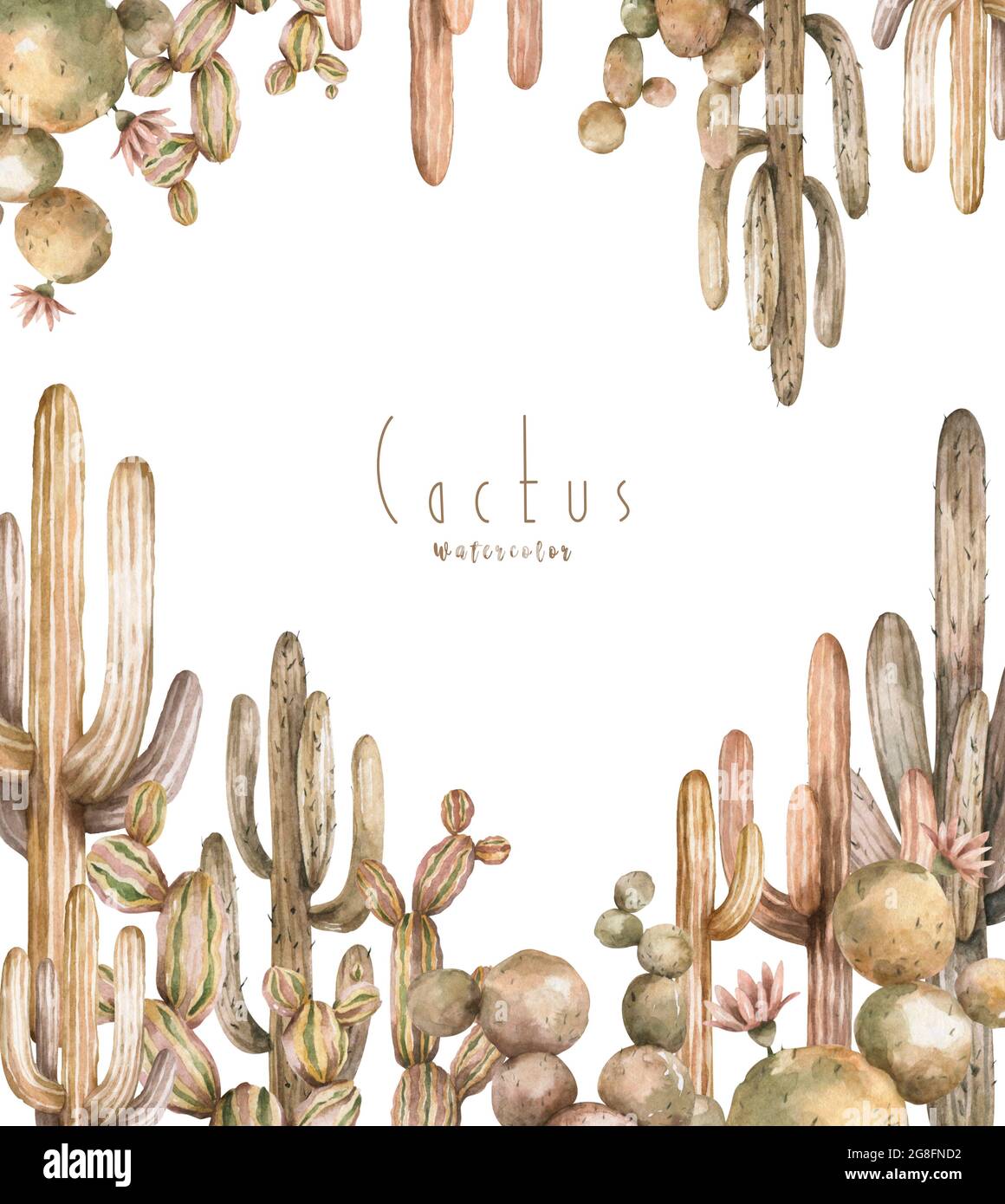 Banner, template for cards with cactuses . image of green cacti frame ...