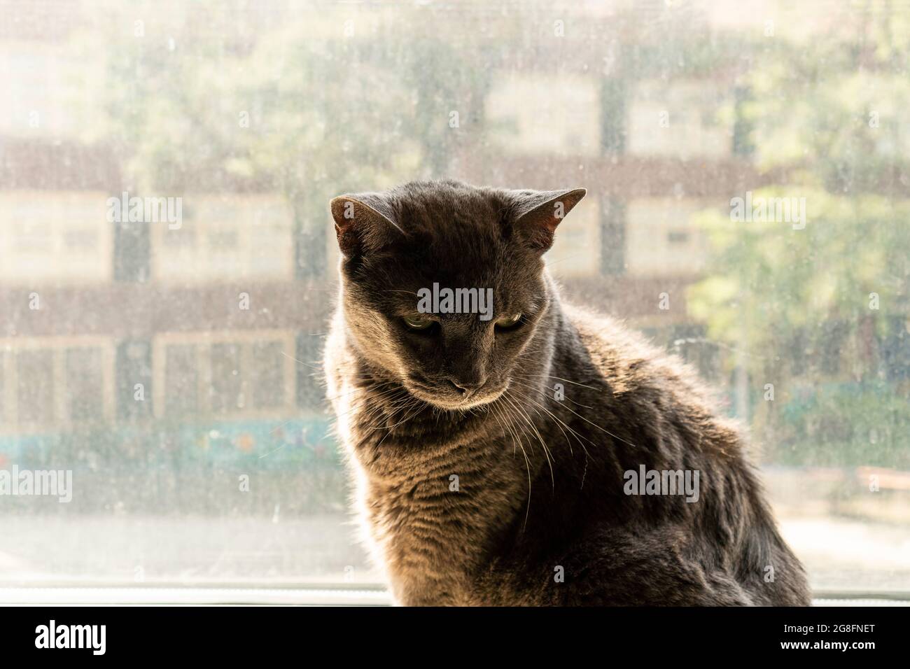 Richard katz hi-res stock photography and images - Alamy