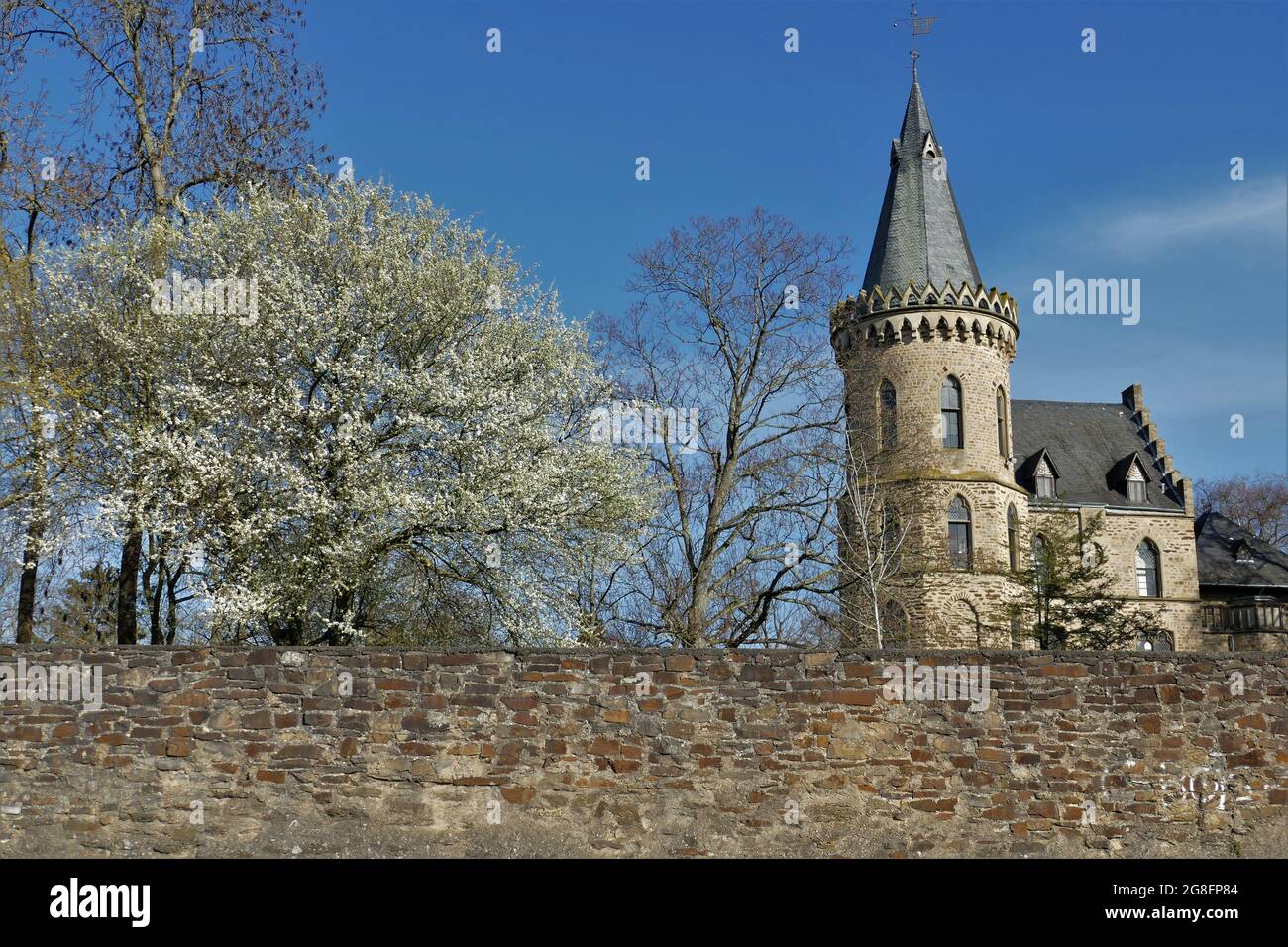 Castle Tower With With Blossoming Tree And Stone Wall At Sinzig / Rhine ...