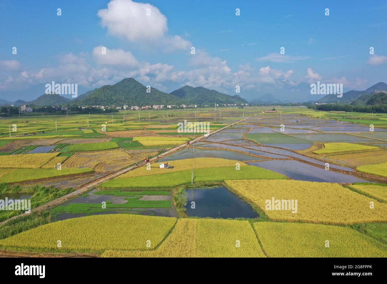Hunan province rice field hi-res stock photography and images - Alamy